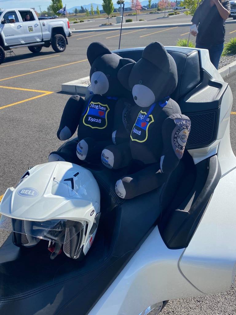 How It Works | Blue Line Bears