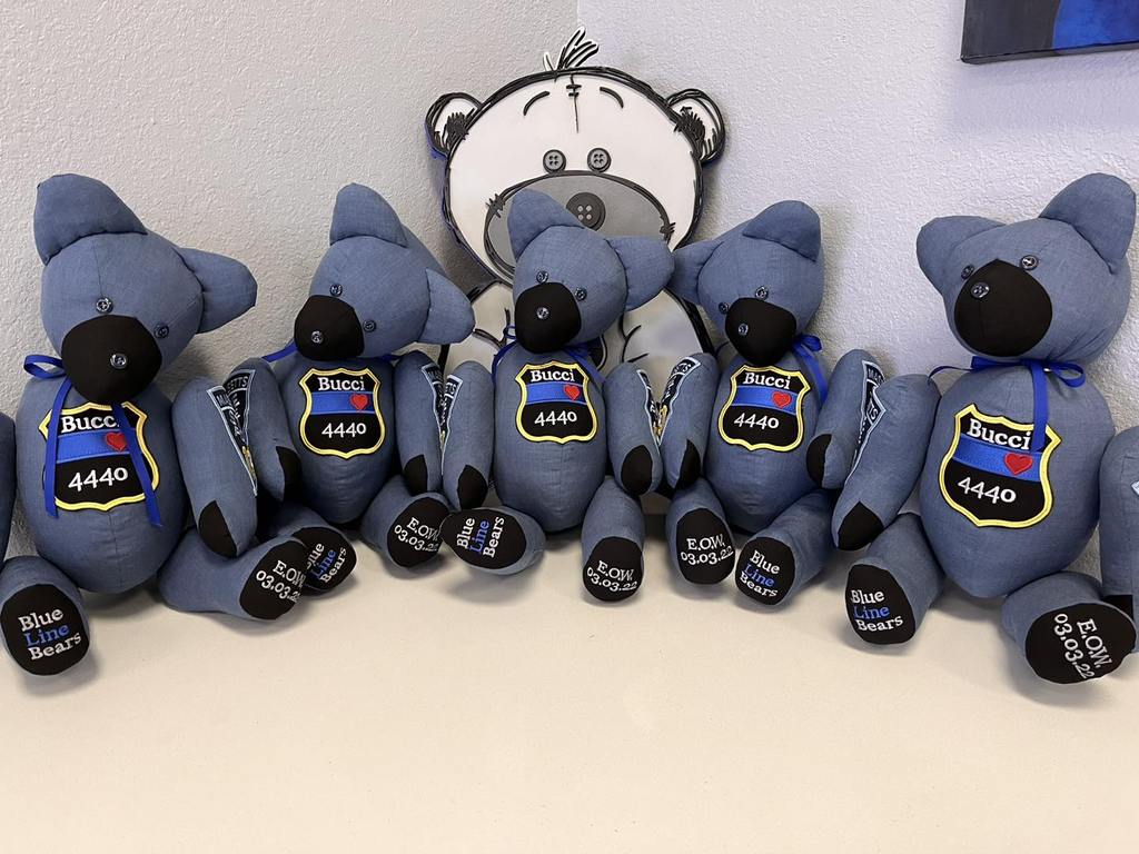 How It Works | Blue Line Bears