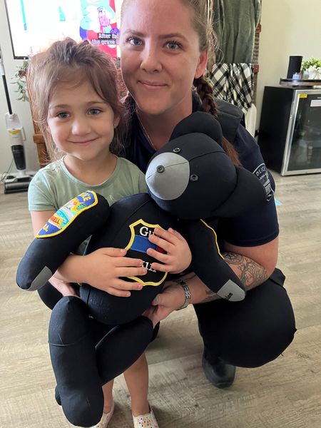 How It Works | Blue Line Bears